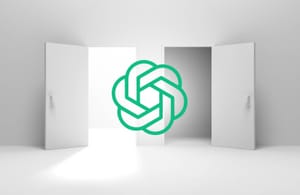 OpenAI's Journey from a Rulebook of Transparency to Ambiguity